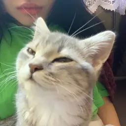 Steam, red sign - Social Engineering Forum — Lolz.live