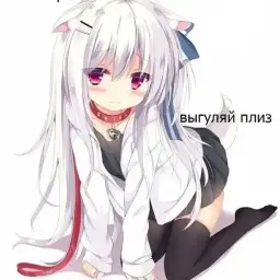 Rofl appeal - Social Engineering Forum — Lolz.live